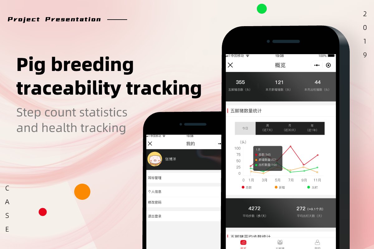 Pig breeding traceability tracking | Big sight